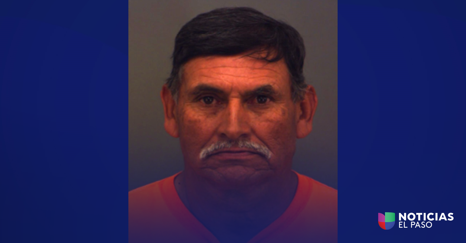 Arrestan a un hombre por organizar pelea de gallos en Fabens - Noticias ...