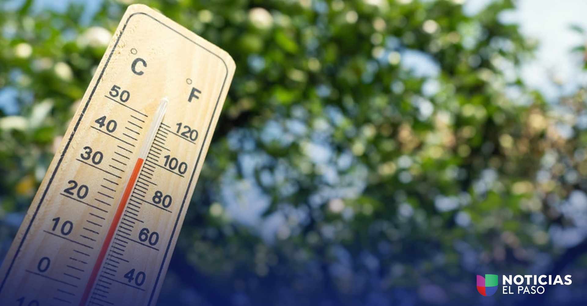 Más de un millón de residentes de Massachusetts en riesgo de perder ...